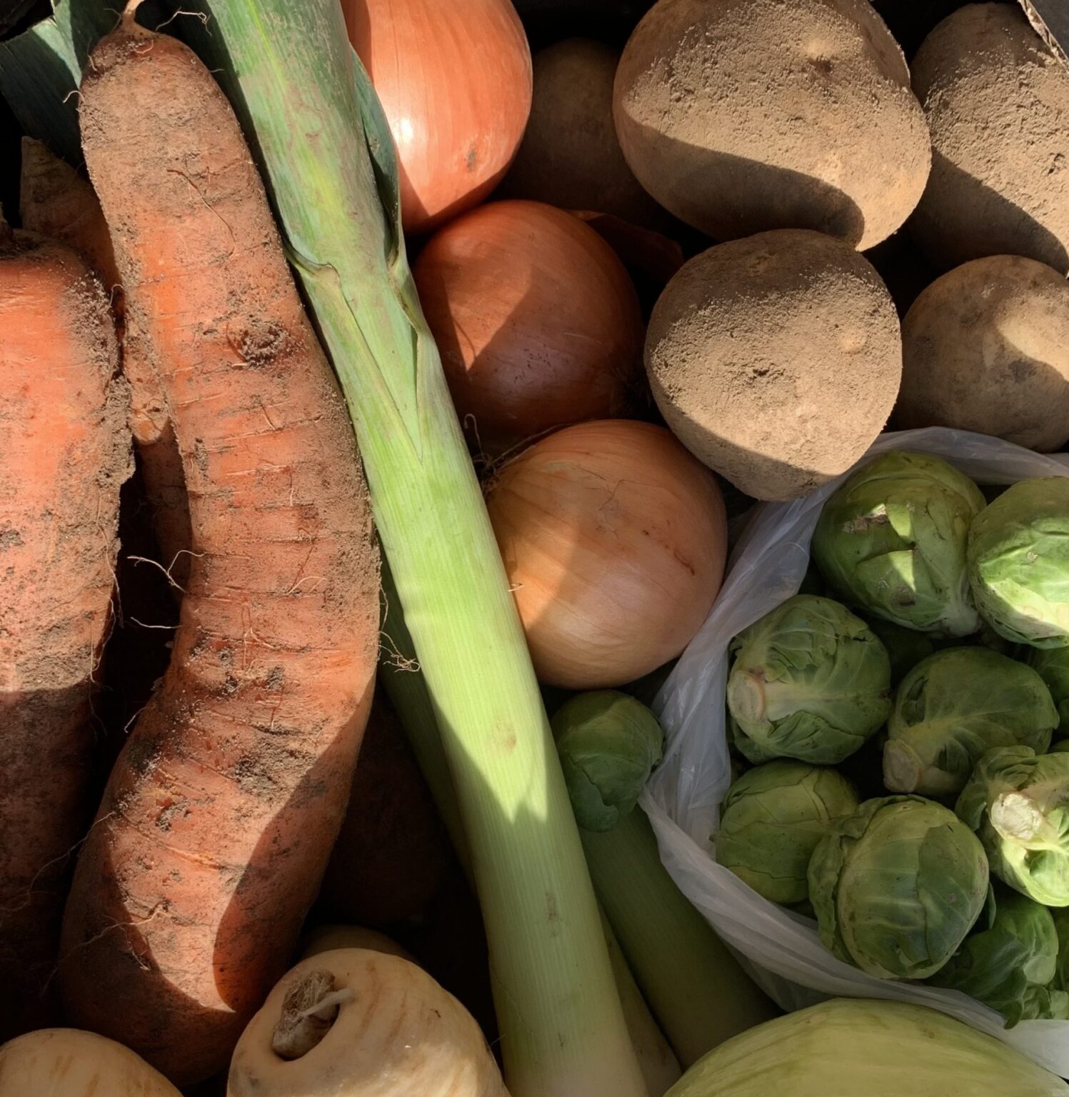 Craigies Farm | Craigies Farm, Deli, Café and Farm Park