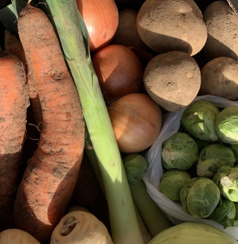 Craigies Farm | Craigies Farm, Deli, Café and Farm Park