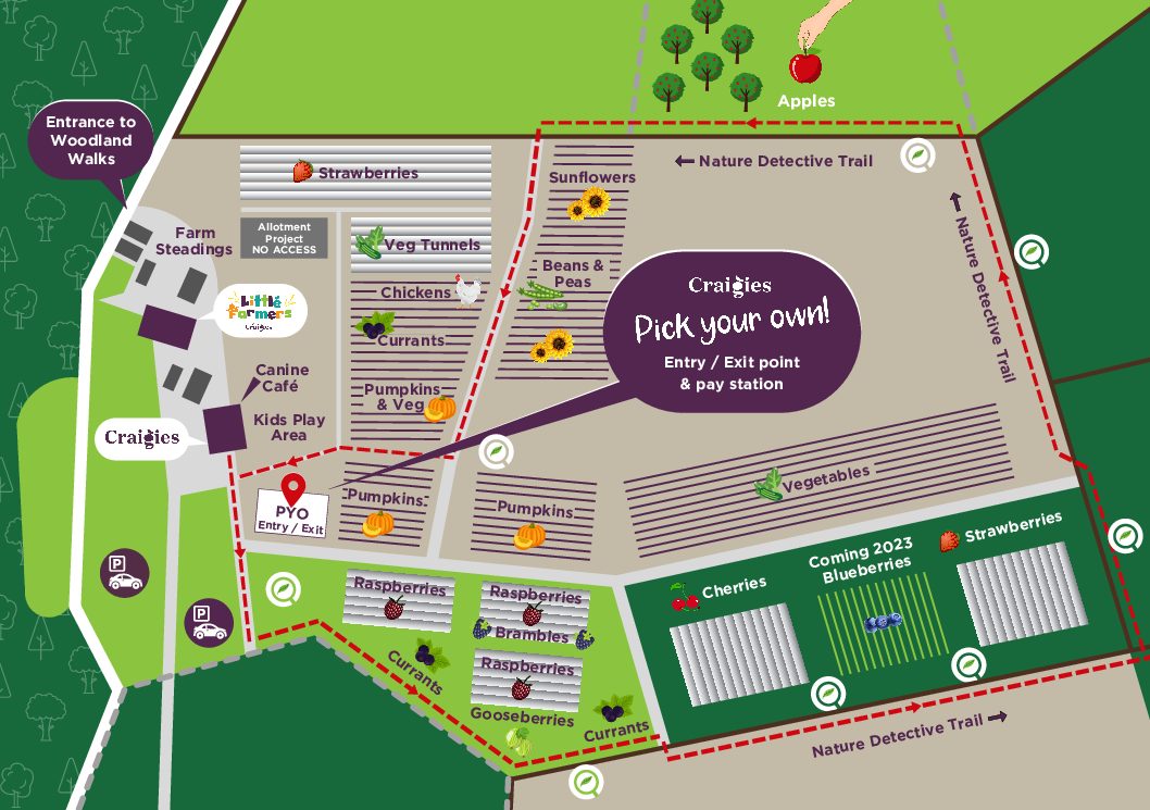 Pick Your Own! PYO Farm | Craigies Farm