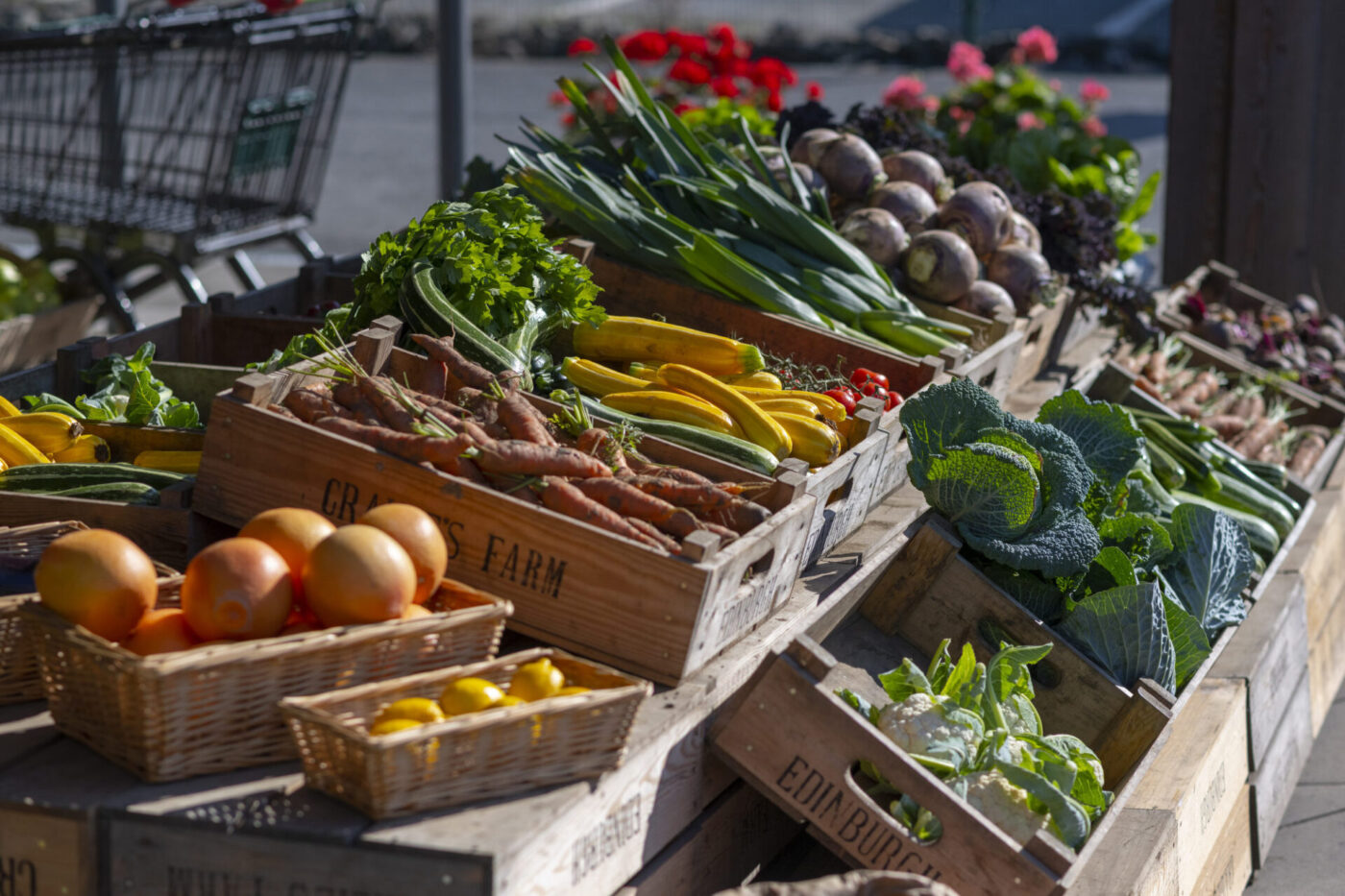 Farm to fork: How Craigies connects people with their food - Craigie’s ...