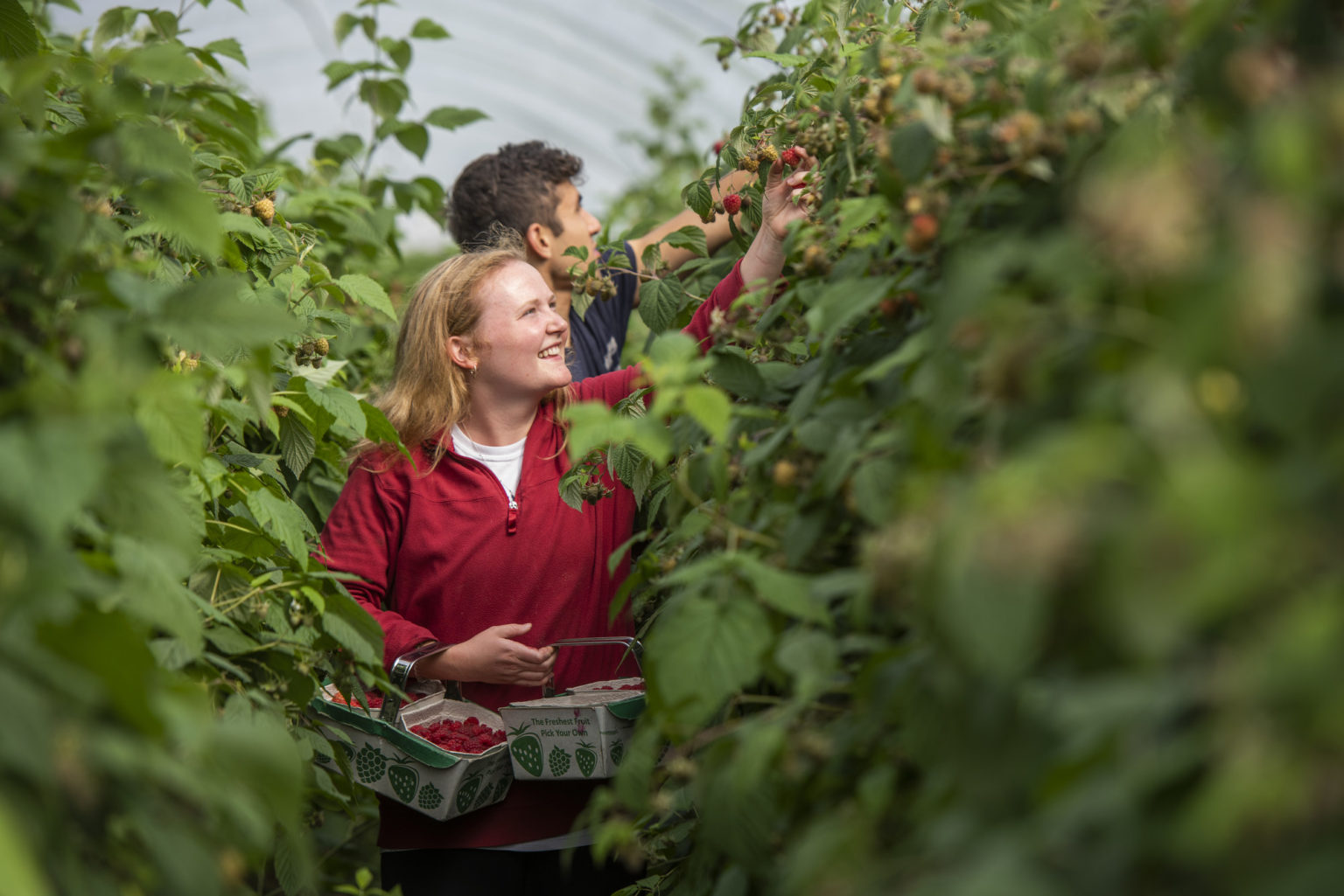 Craigies Farm | News