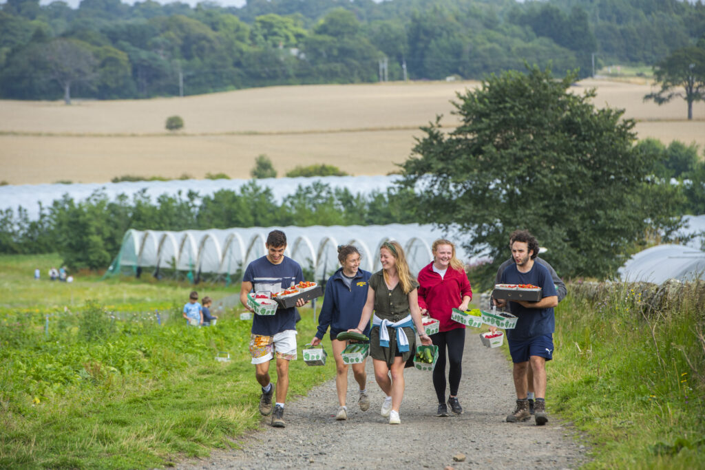 Craigies Farm | News