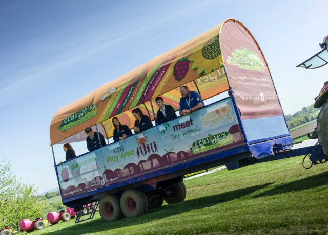Craigie’s Farm | Upcoming Events
